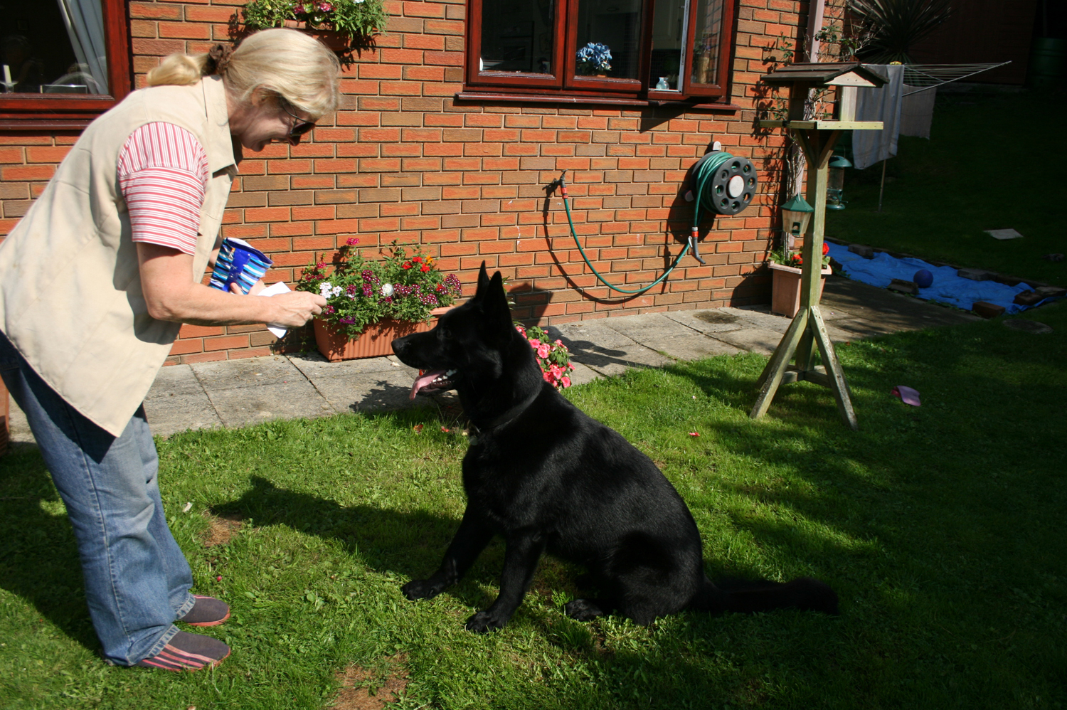 Police Puppy Walking How It All Started - My personal Experience