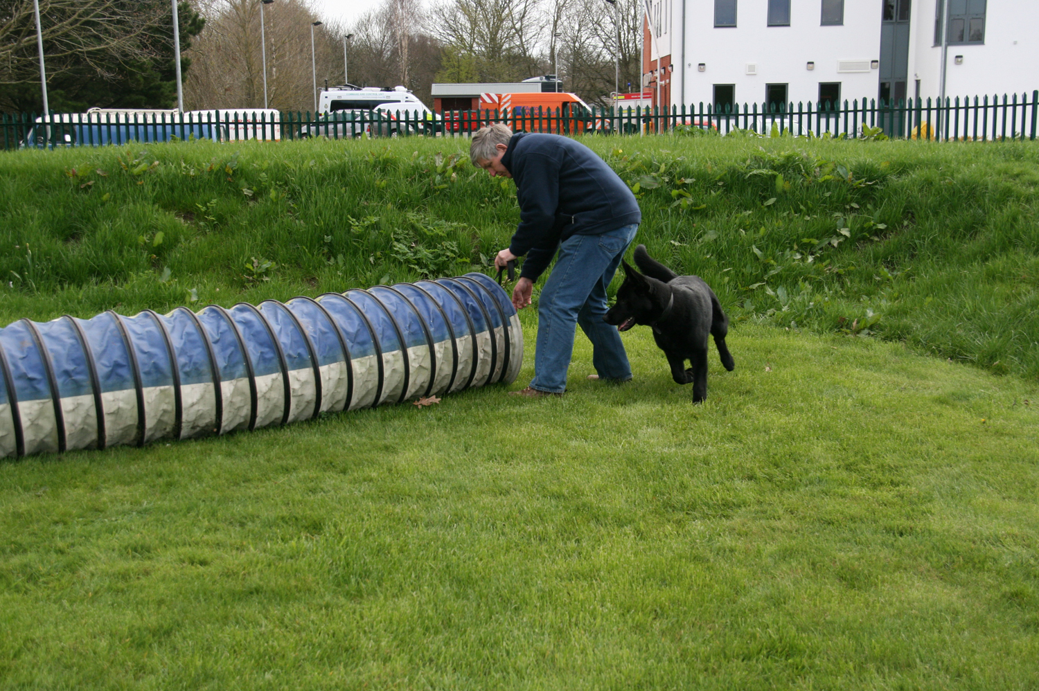 Police Puppy Walking How It All Started - My personal Experience