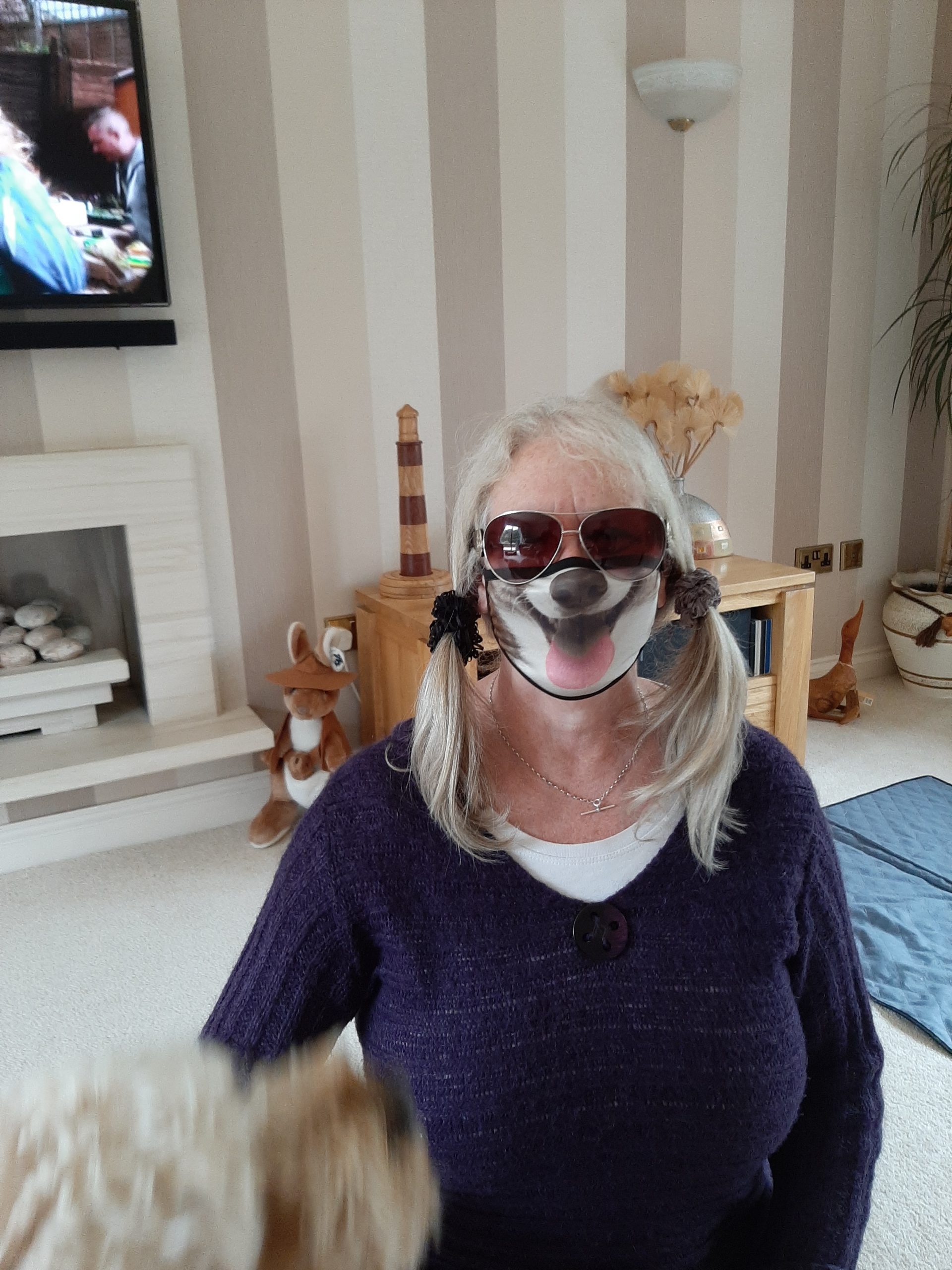 Humorous Dog Pattern Face Masks - Karen Freeman