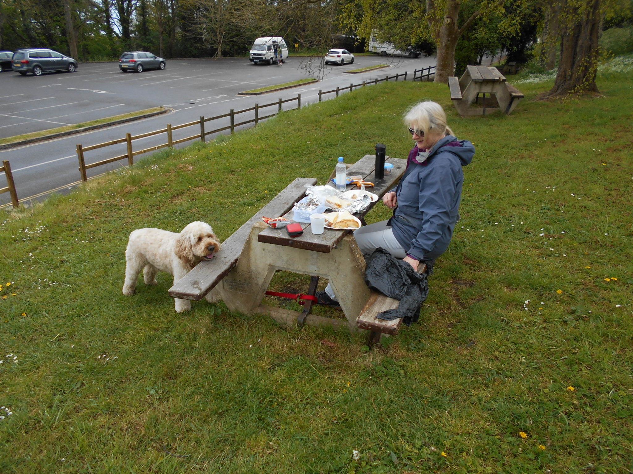 Steamer Point Lodge with Clumberdoodle Archie 2021 - Karen Freeman